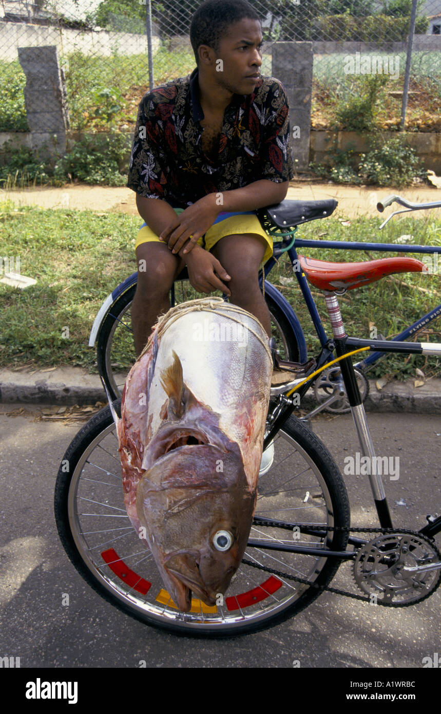 Riding a fish hi-res stock photography and images - Alamy