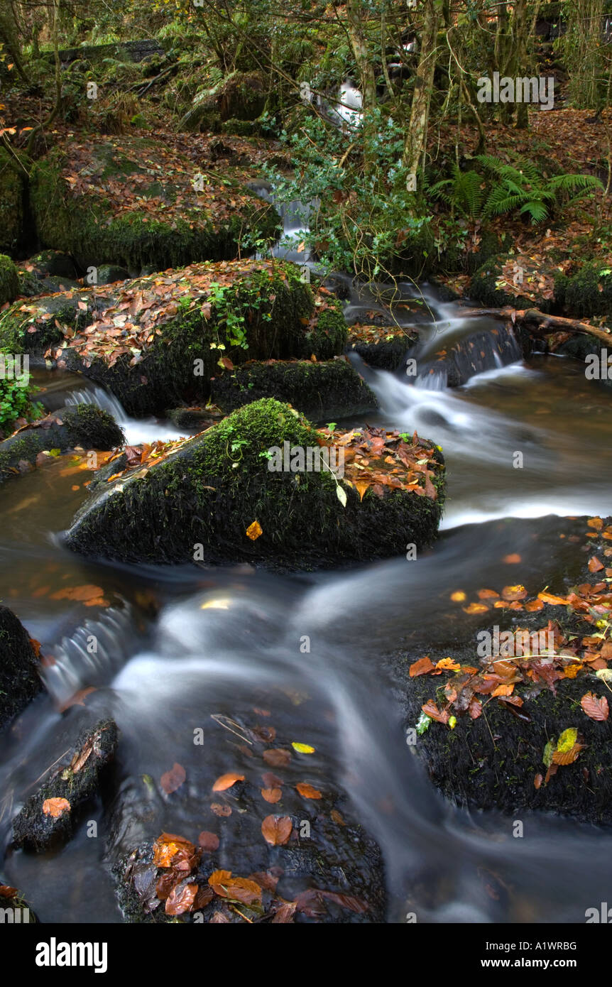 part of the river kennall kennall vale cornwall, a cornwall wildlife ...