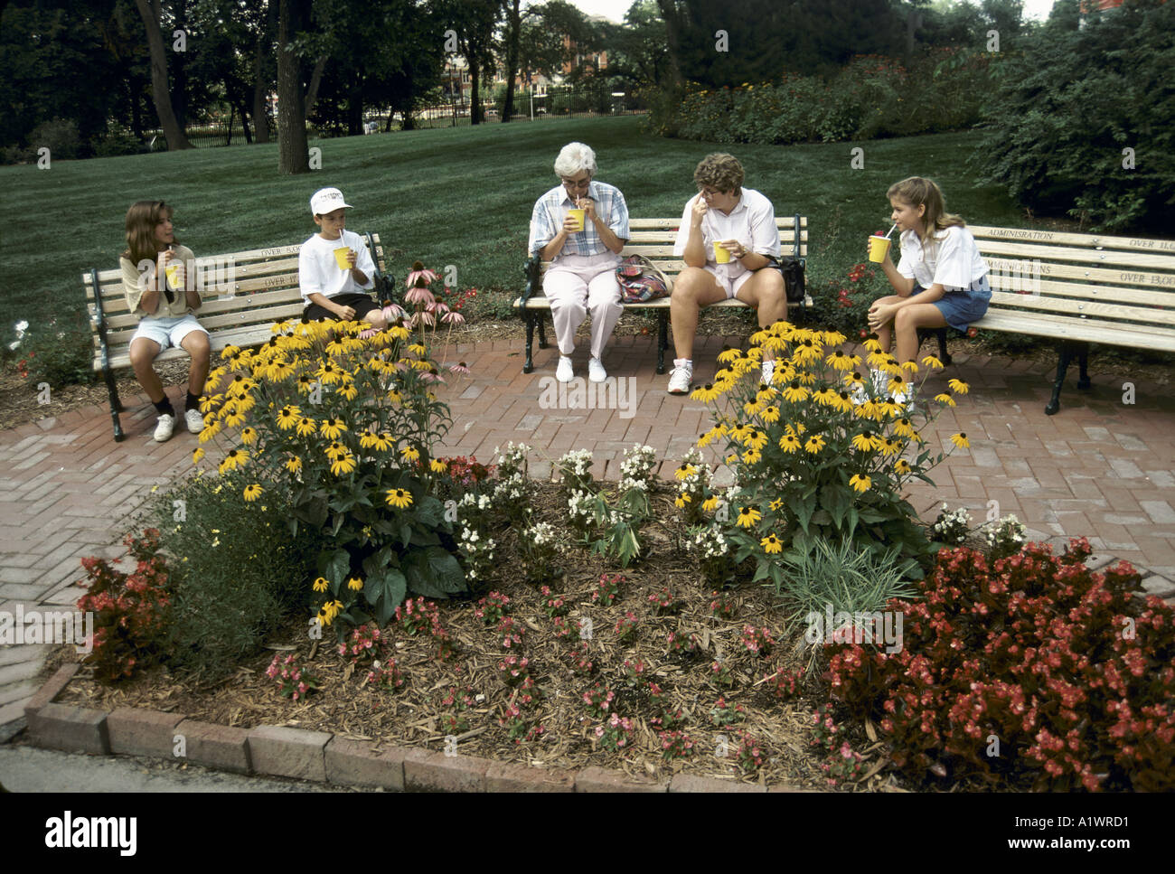 Sitting on public benches hi-res stock photography and images - Alamy