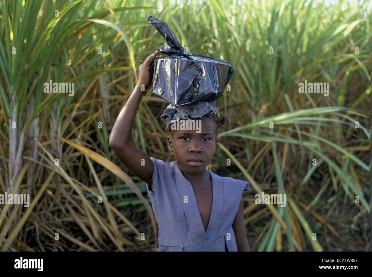 HAITIAN SUGAR WORKERS CHILD TAKING LUNCH TO WORKERS IN THE FIELD 1992 ...