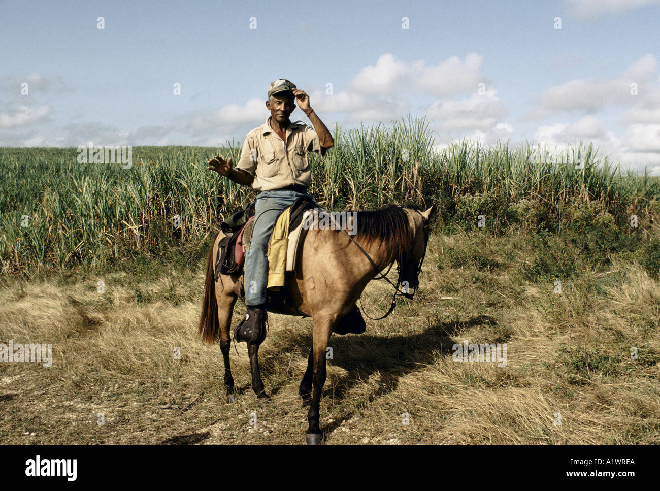 Overseer sugar hi-res stock photography and images - Alamy