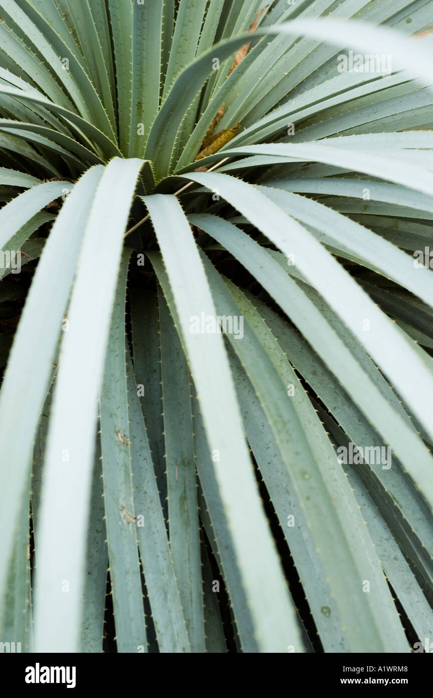 Calgary zoo attraction hi-res stock photography and images - Alamy