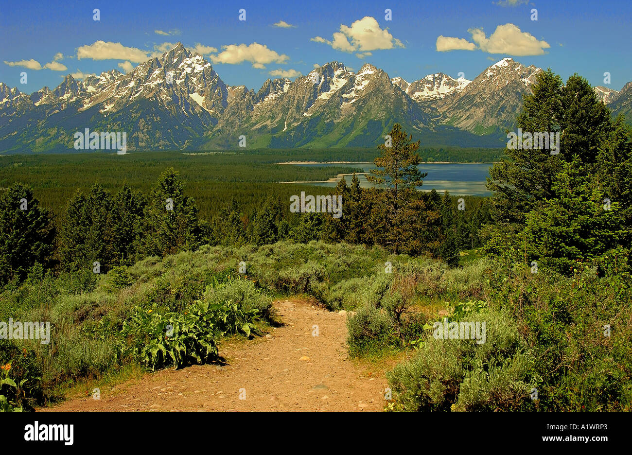 View of Grand Teton National Park seen from the overlook at Signal ...