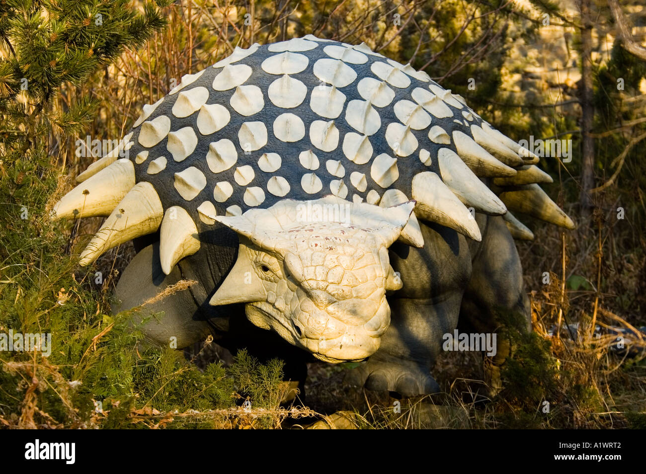 A replica of an Anklyosaurus at the Calgary Zoo Prehistoric Park in ...