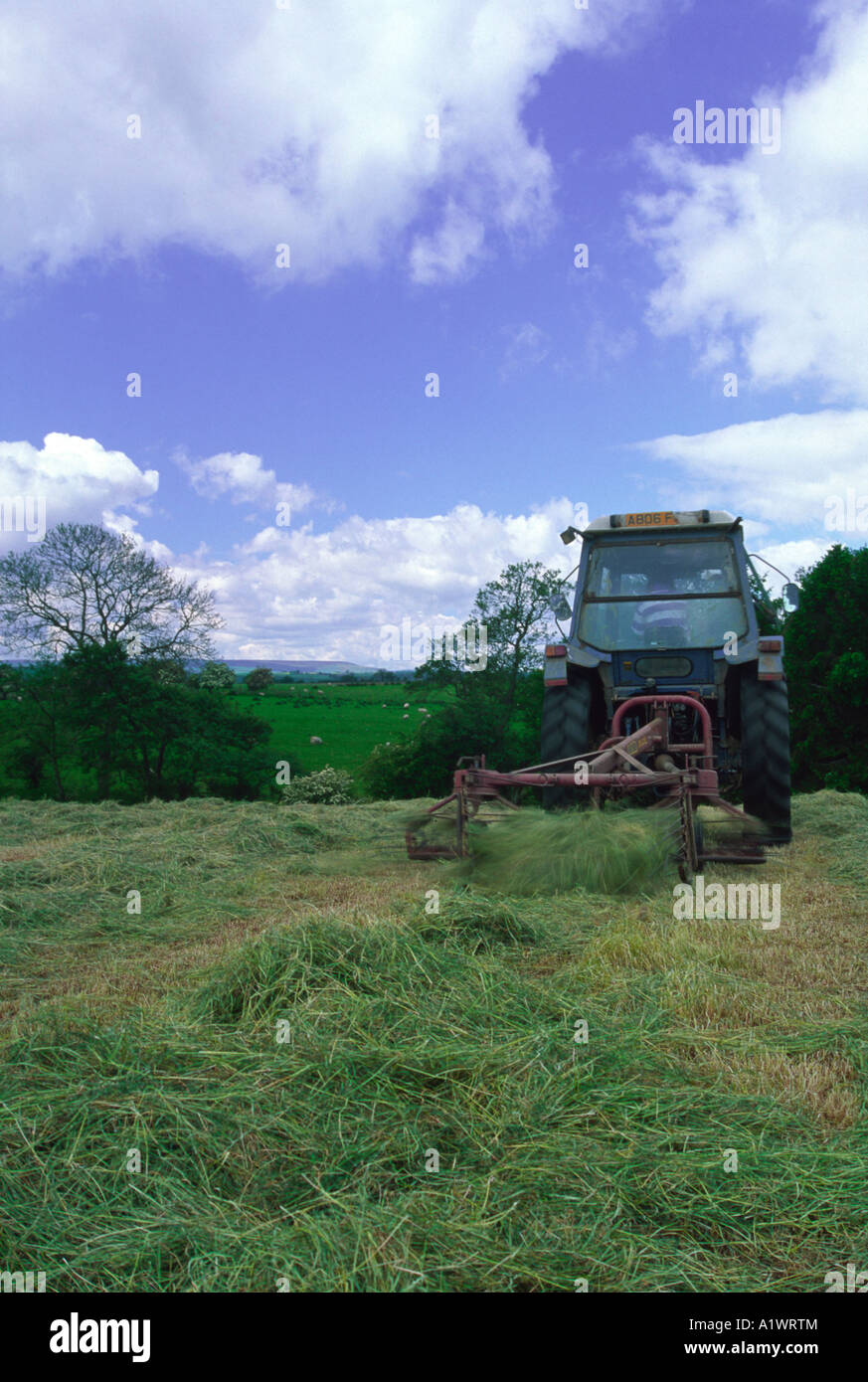 Hay making Bedale North Yorkshire England UK Stock Photo - Alamy