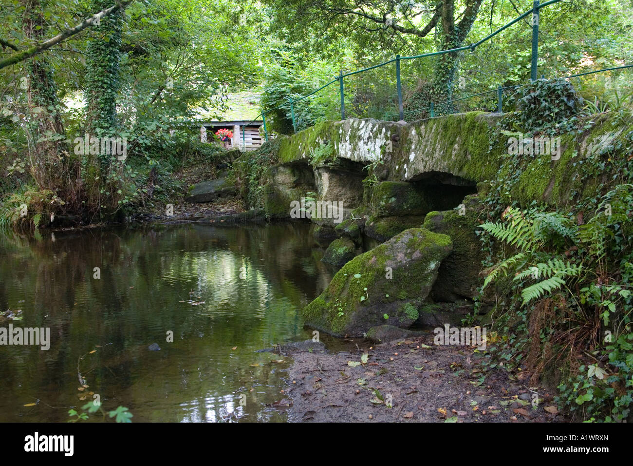 Crossing the river camel hi-res stock photography and images - Alamy