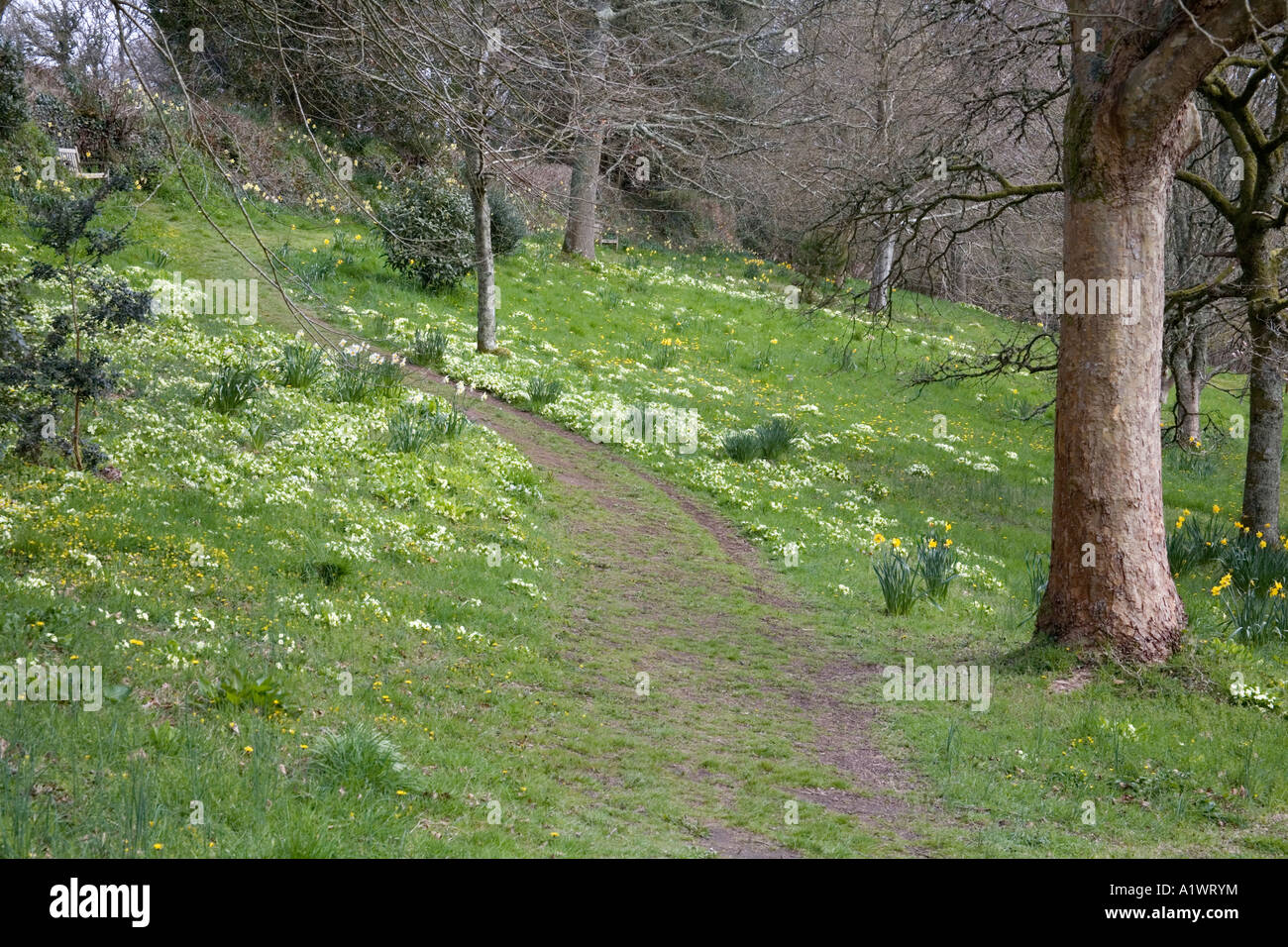 Cotehele garden hi-res stock photography and images - Alamy