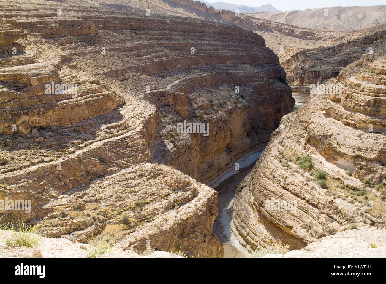 Mides hi-res stock photography and images - Alamy