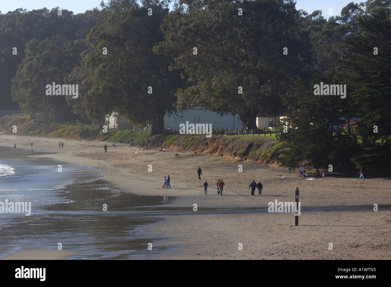 San Simeon State Beach Stock Photo - Alamy
