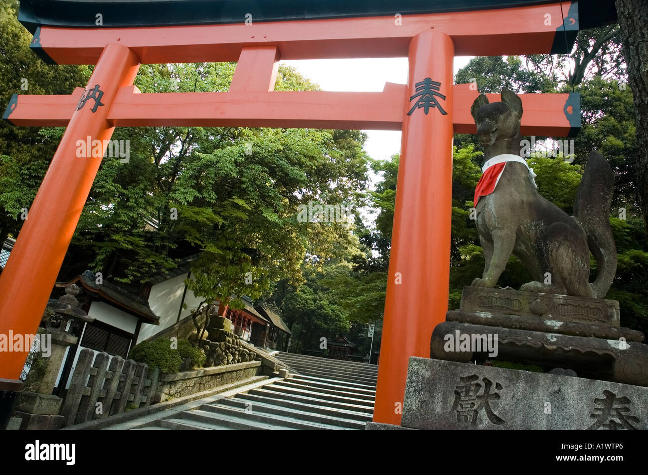 Messenger fox hi-res stock photography and images - Alamy