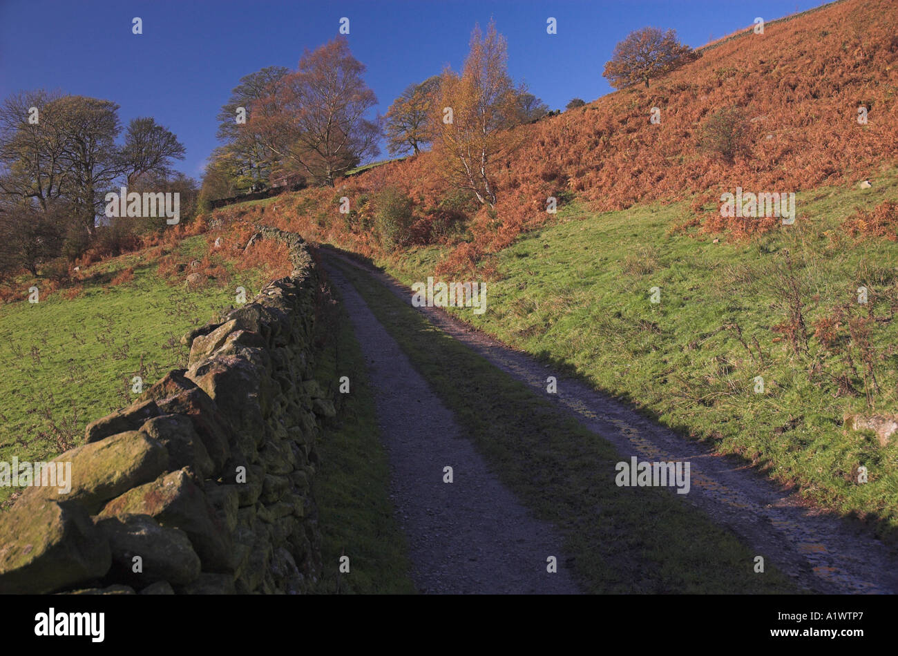 Footpath through fields in the Peak District National Park Derbyshire ...