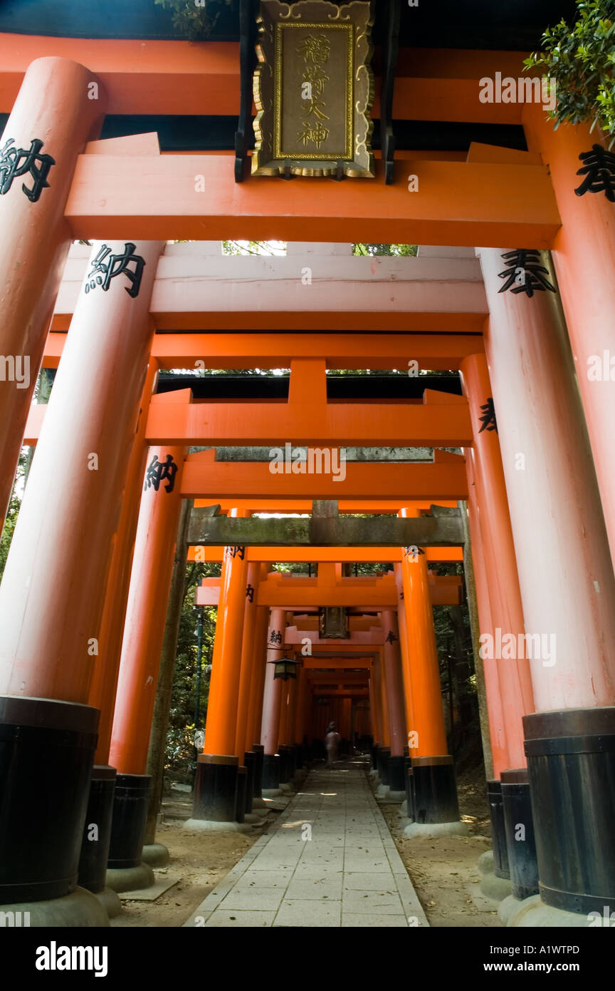 Thousands of red torii gates line the paths at Fushimi Inari Shrine in ...