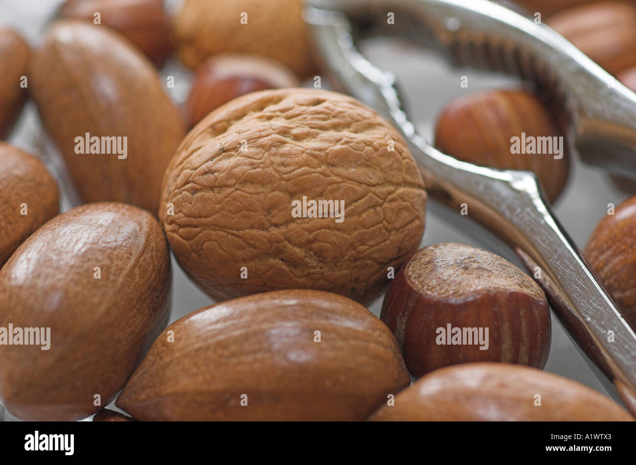 A festive selection of nuts in their shells with stainless steel ...