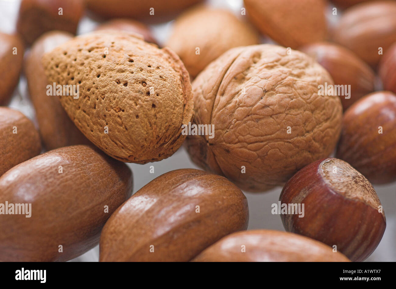 A festive selection of nuts in their shells Stock Photo - Alamy