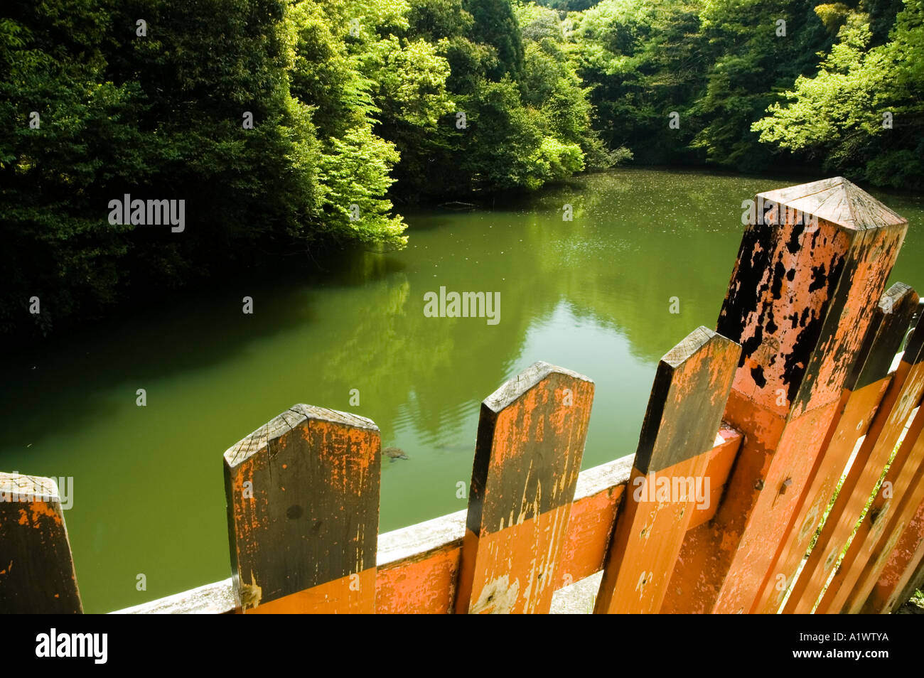 Trees hang over a pond at Fushimi Inari Shrine in Kyoto Japan Stock ...