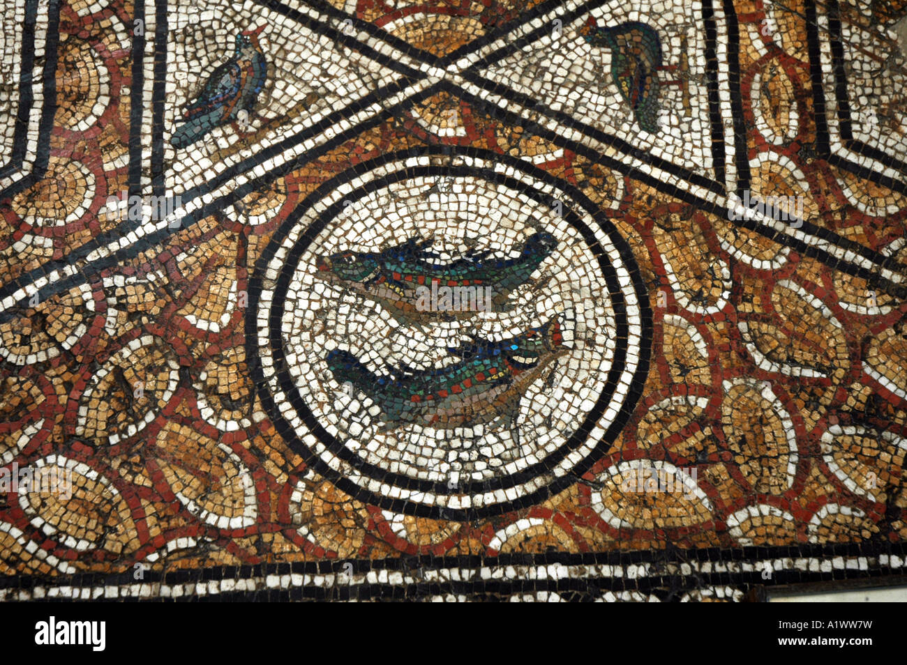 Roman mosaic fish hi-res stock photography and images - Alamy