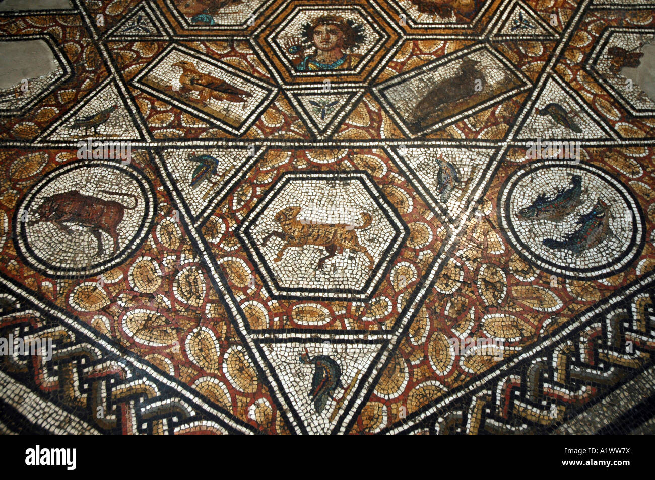 Astrology history historical taurus hi-res stock photography and images ...