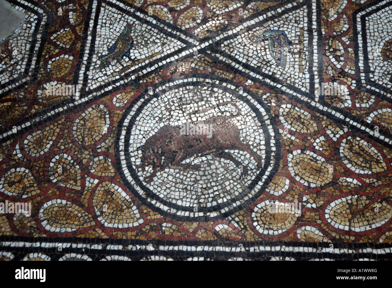 Taurus horoscope sign on Roman mosaic in The Bardo museum in Tunis ...