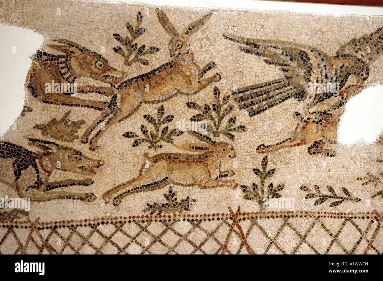 Hunting scene on Roman mosaic in The Bardo museum in Tunis, capital of ...