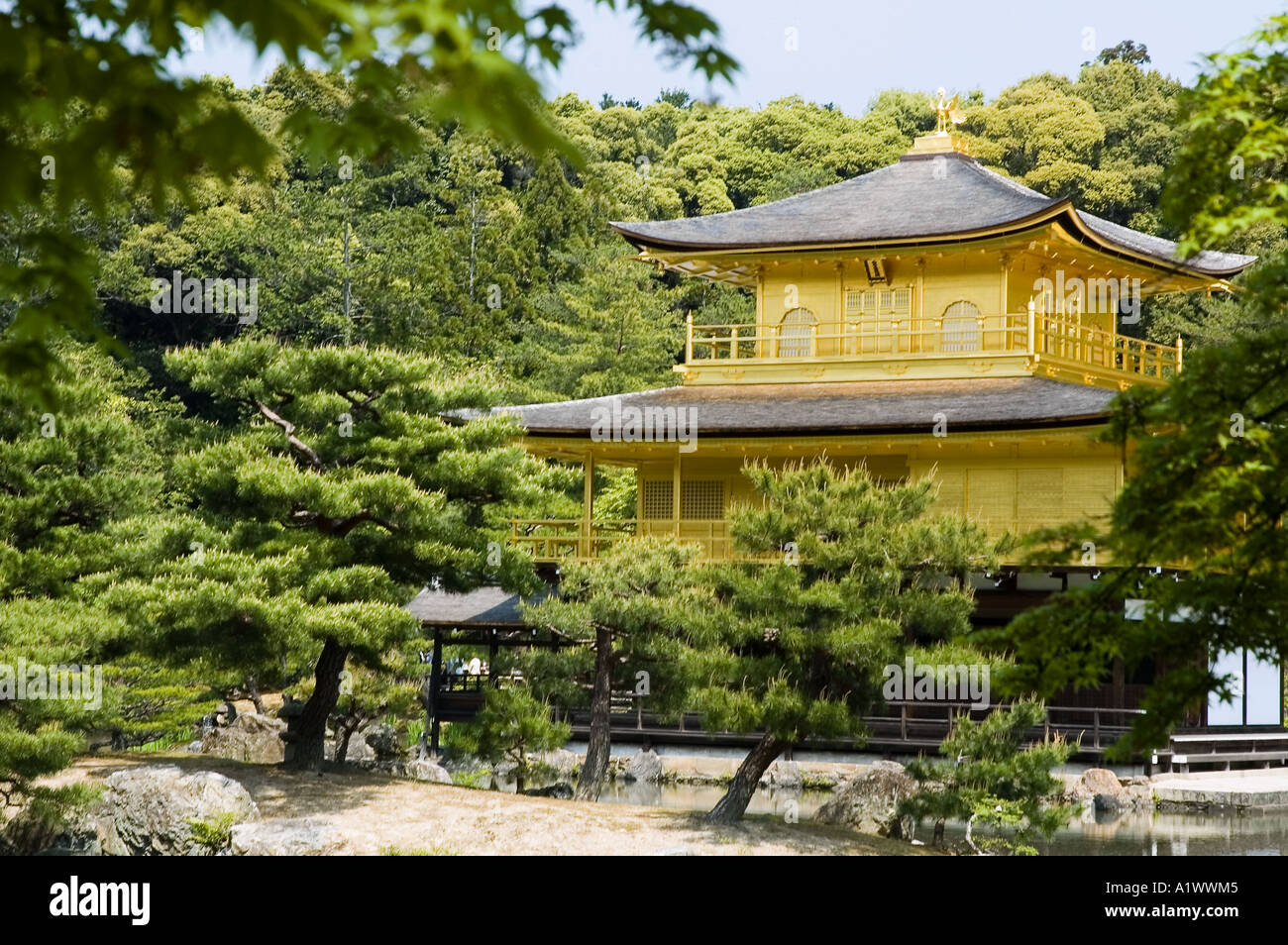 The Golden Pavilion of Kinkakuji Temple in Kyoto Japan Stock Photo - Alamy