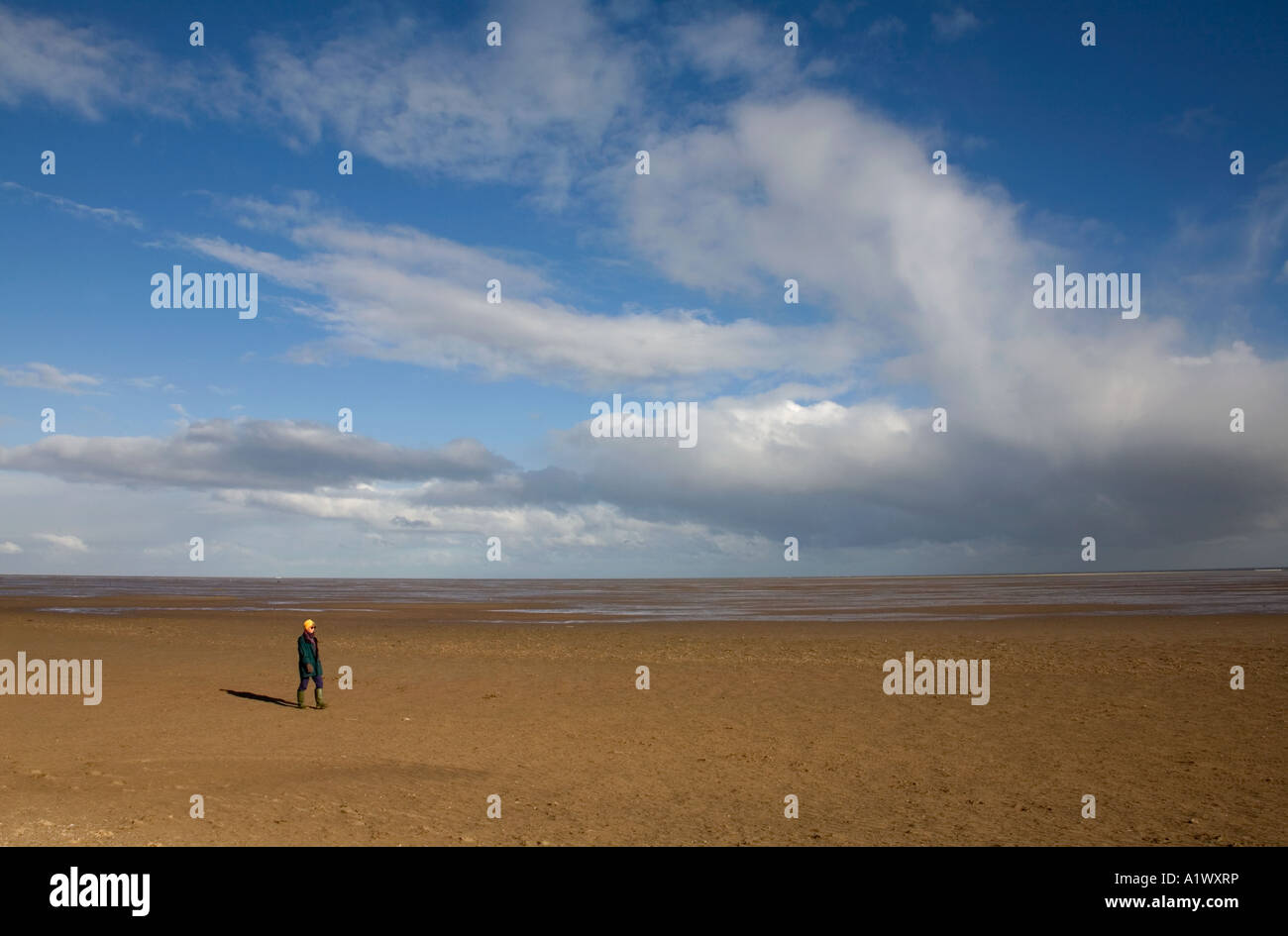 beach at low tide between saltfleetby and theddlethorpe lincolnshire ...