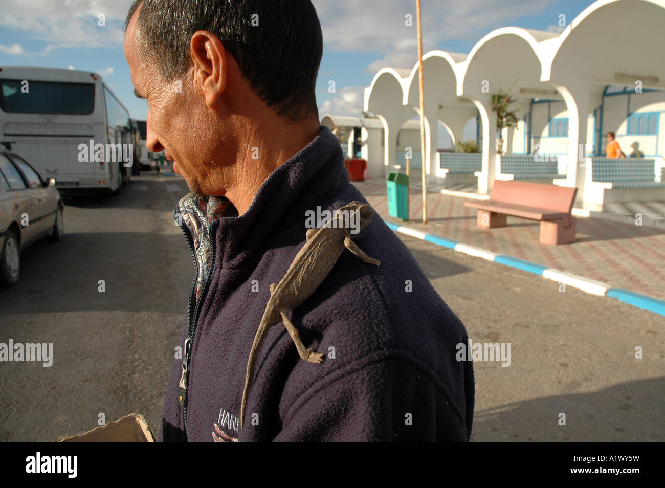 Man selling cigarettes with lizard on his shoulder in Ajim town on ...