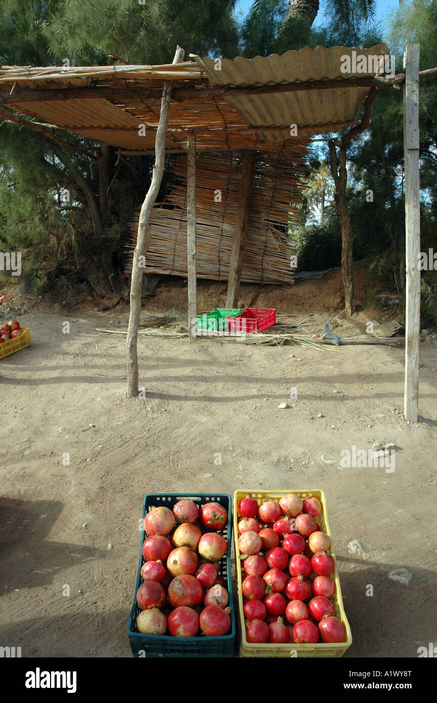 On the way in Tunisia, fruit stand with pomegranate fruits Stock Photo ...