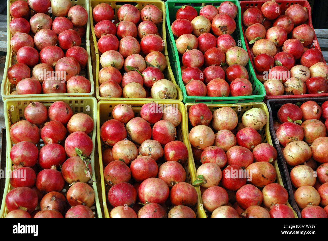 On the way in Tunisia, fruit stand with pomegranate fruits Stock Photo ...