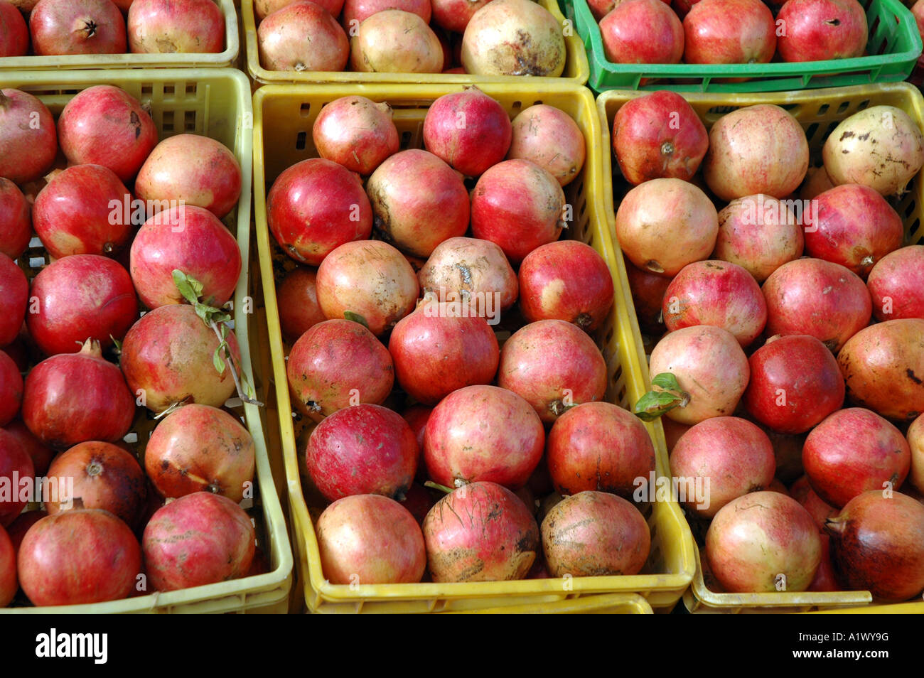 On the way in Tunisia, fruit stand with pomegranate fruits Stock Photo ...