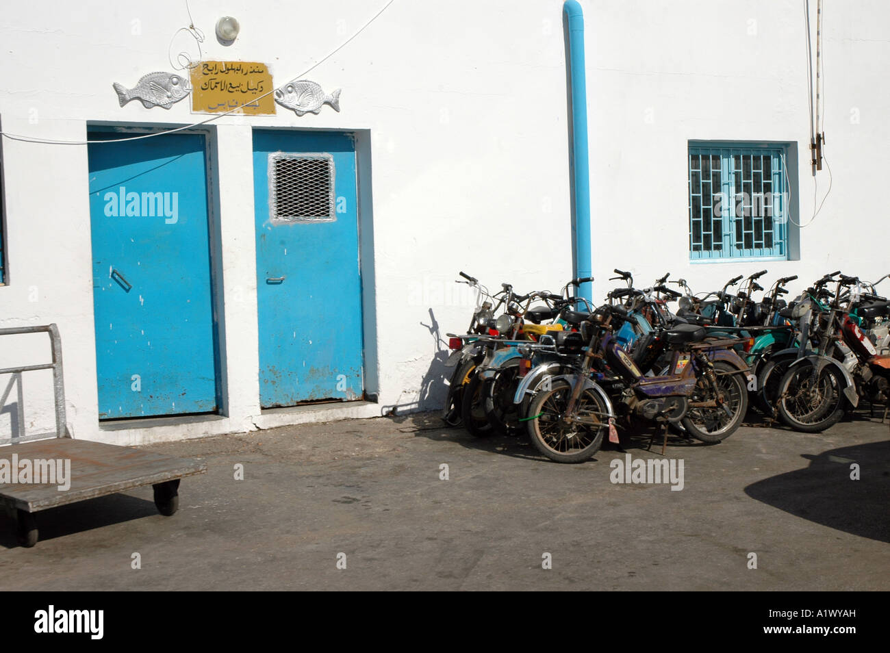 Motorycles parked in harbour in Gabes city, Tunisia Stock Photo - Alamy