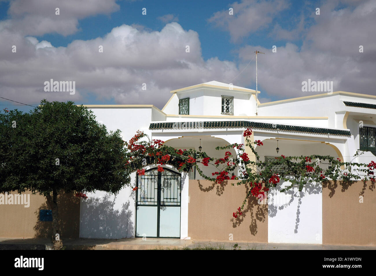 House in Mahres city in Tunisia Stock Photo - Alamy