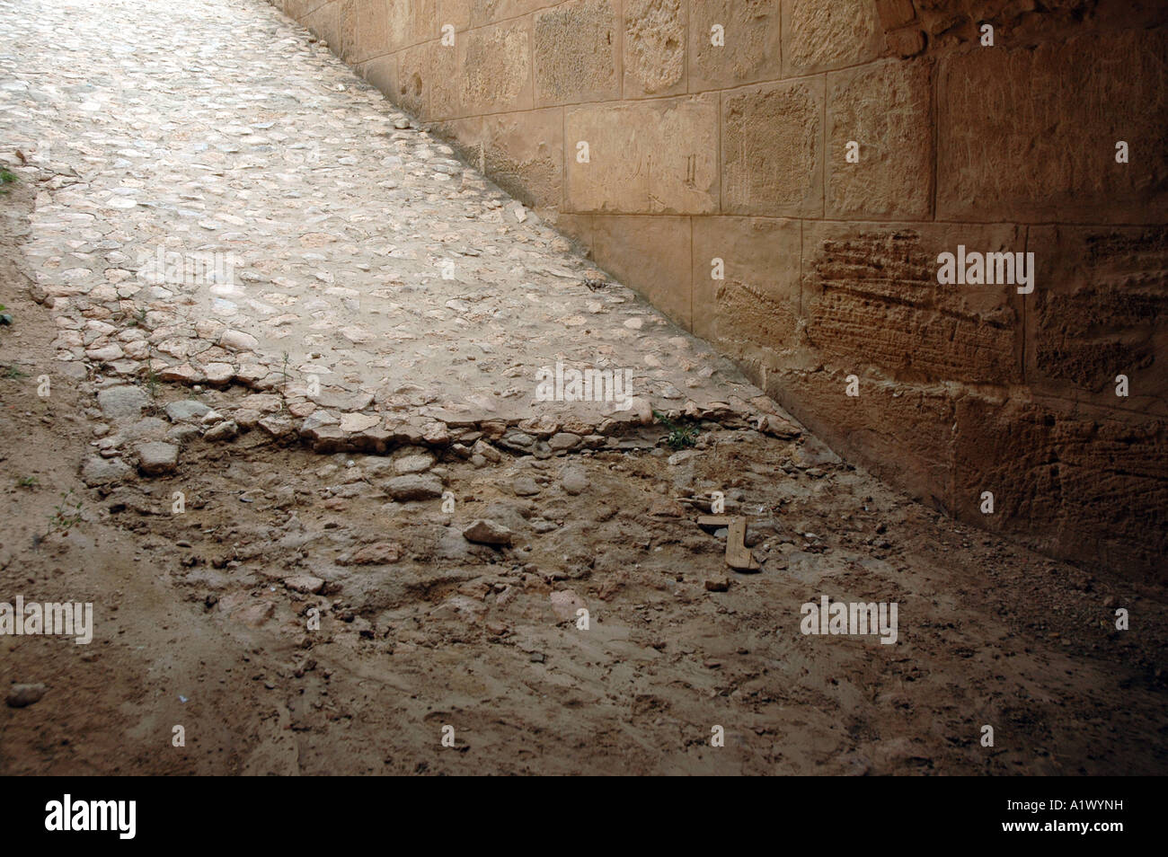 Dungeon of Roman colosseum in El Jem (or El Djem), Tunisia Stock Photo ...