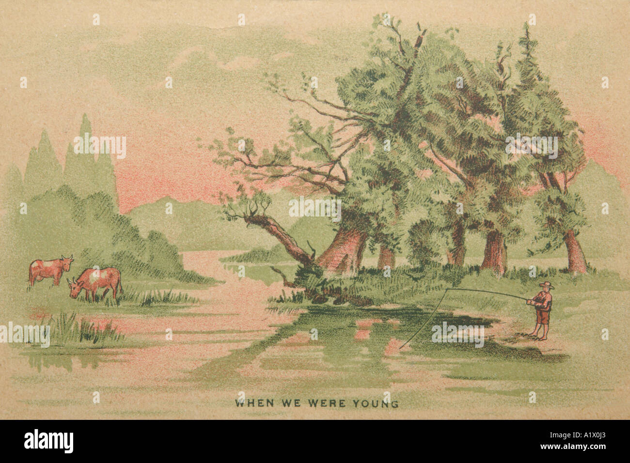 postcard mailed in the year 1908 Stock Photo - Alamy