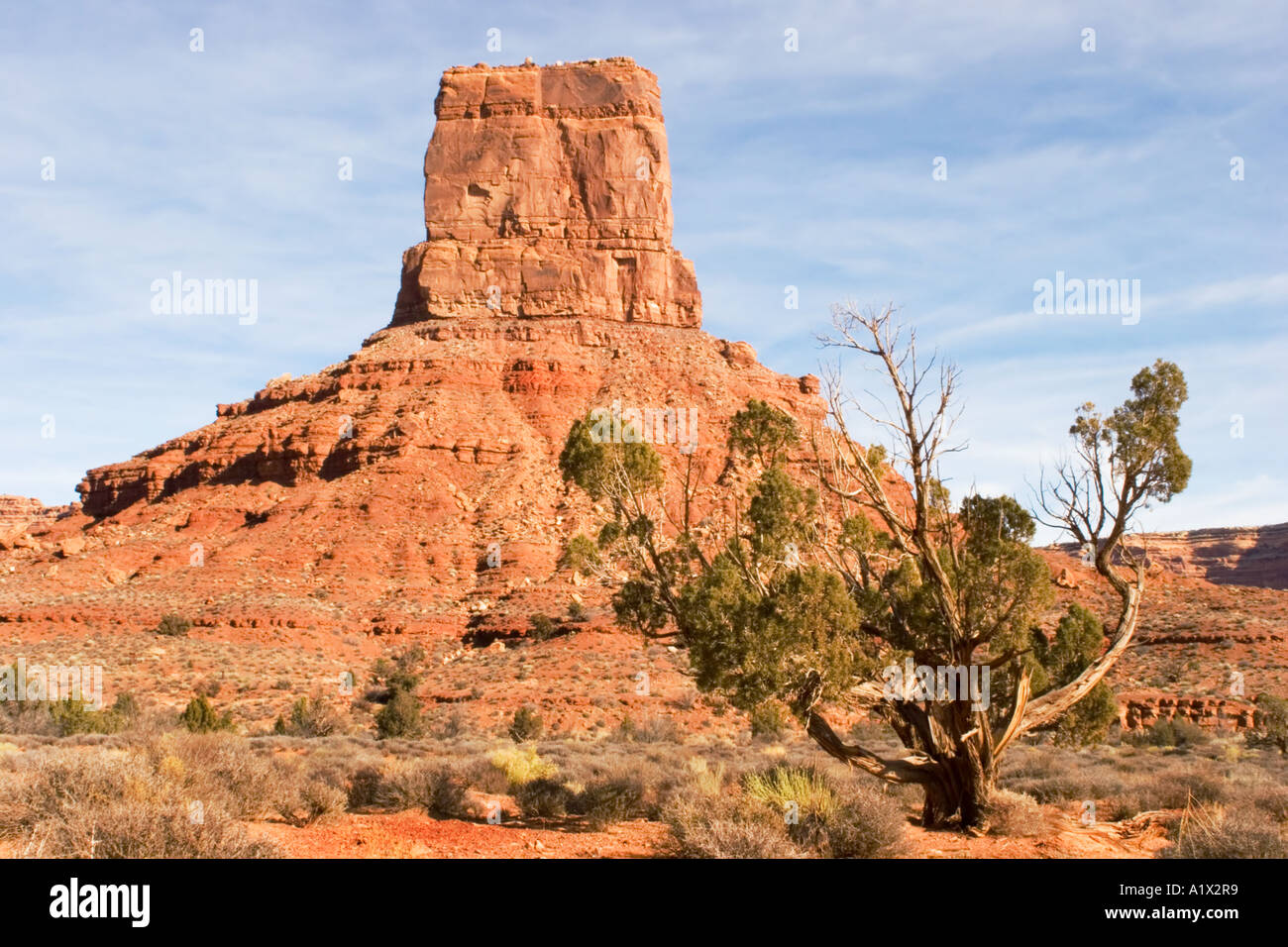 Cedar ledge hi-res stock photography and images - Alamy