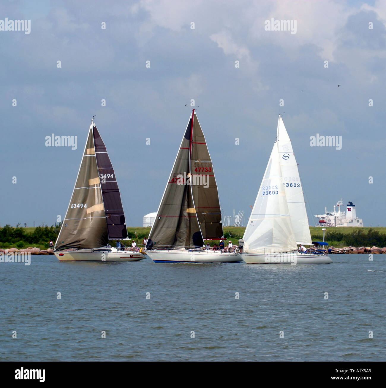Peoples regatta hi-res stock photography and images - Alamy