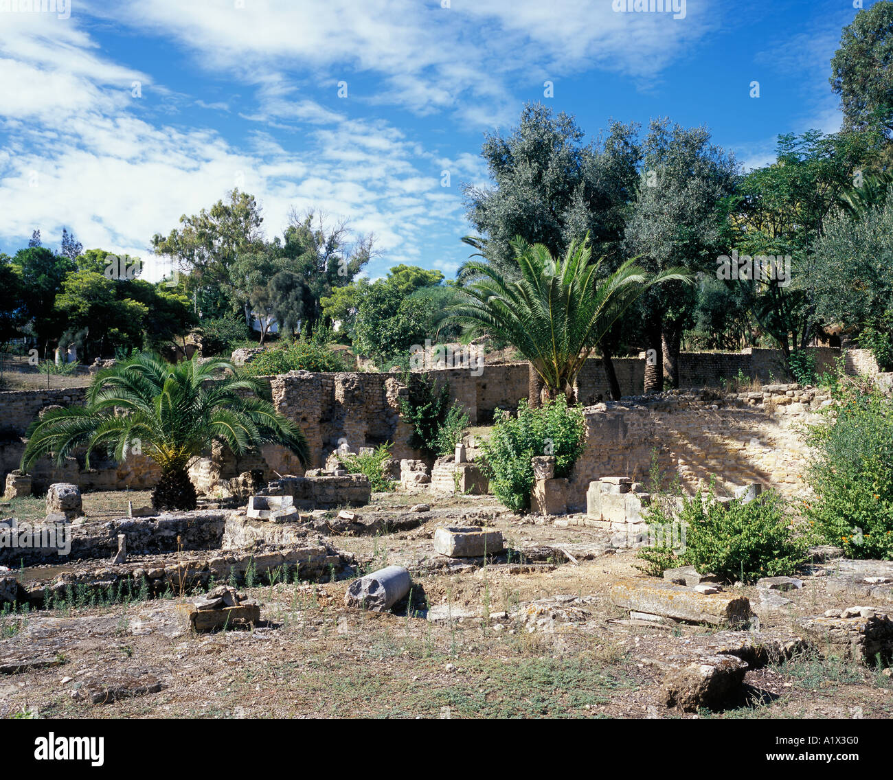 Ruins of Carthage Stock Photo - Alamy