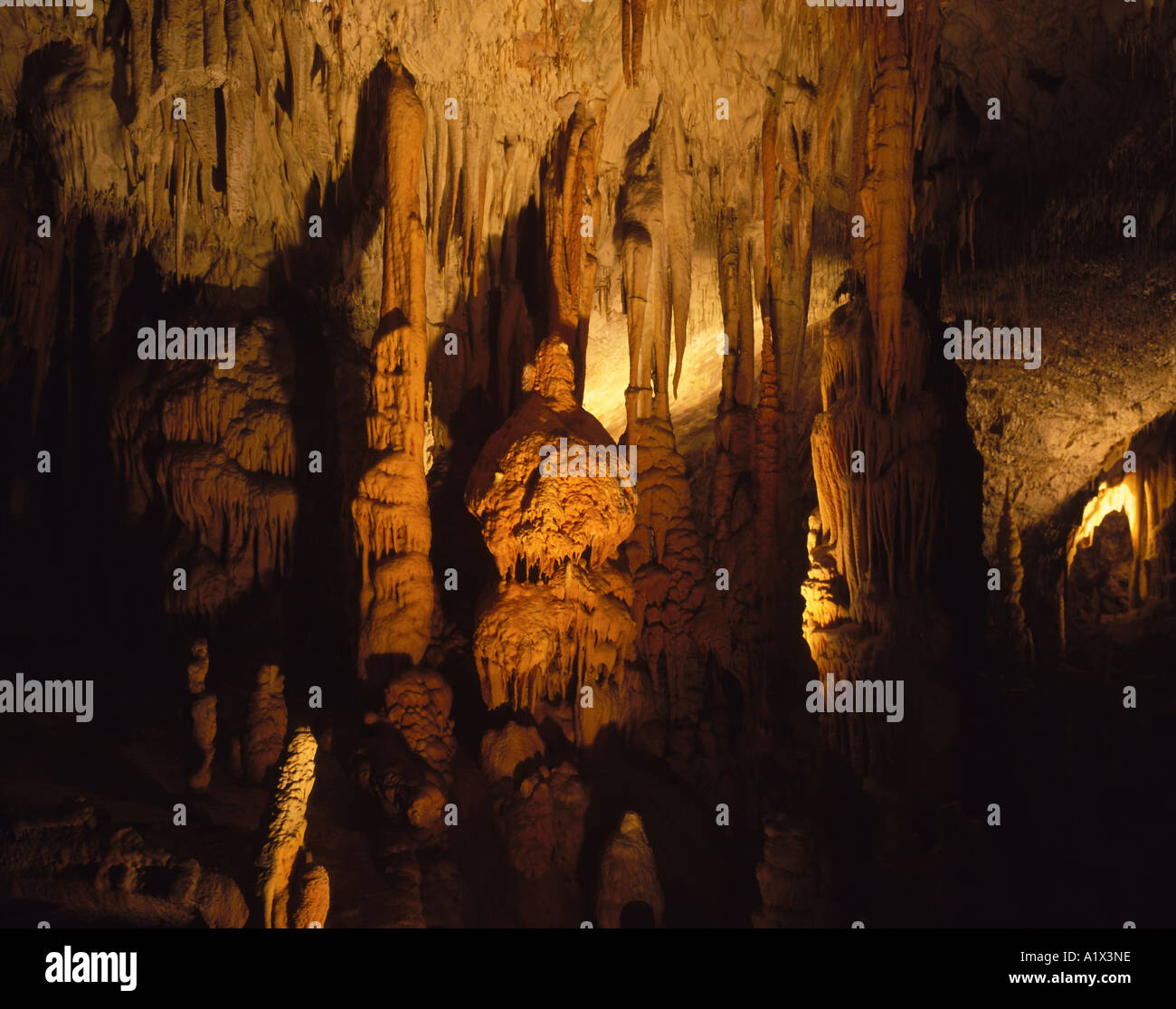 Postojna Jama (Cave Stock Photo - Alamy