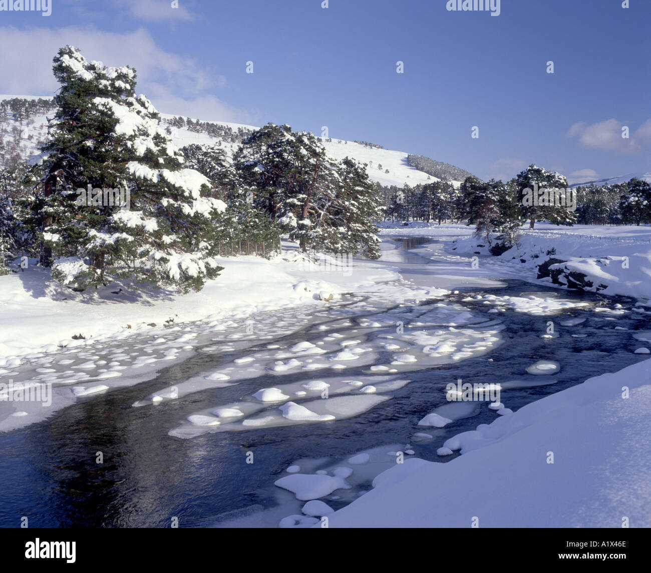 Royal Deeside Scotland Stock Photo - Alamy