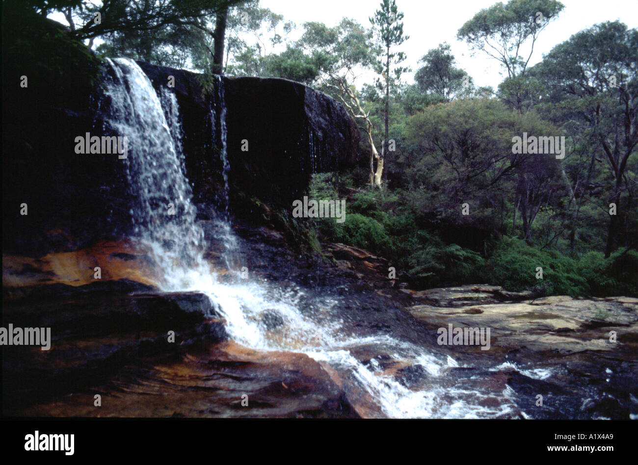 Blue Mountains rock pool Stock Photo - Alamy