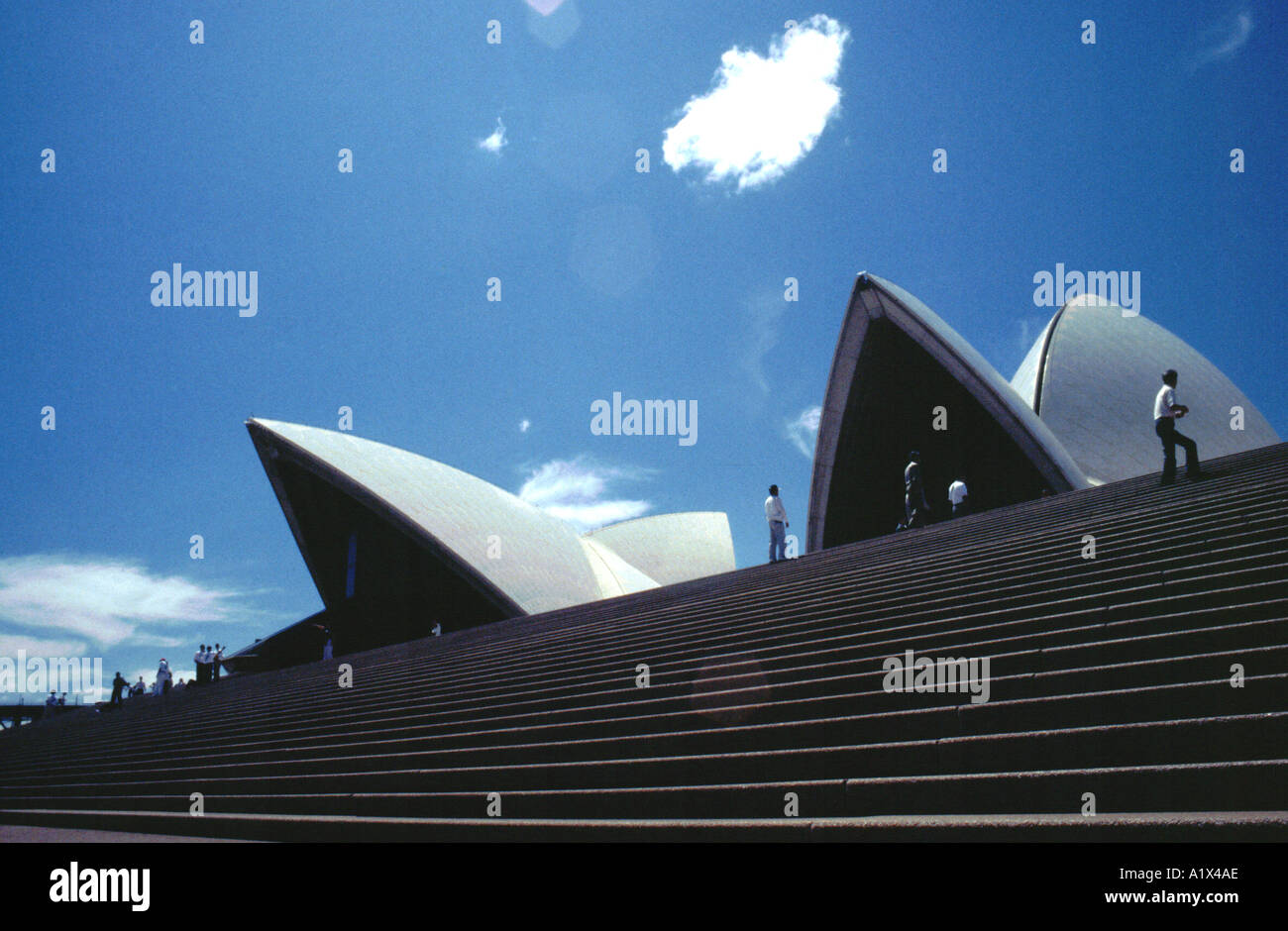 Opera House steps Stock Photo - Alamy