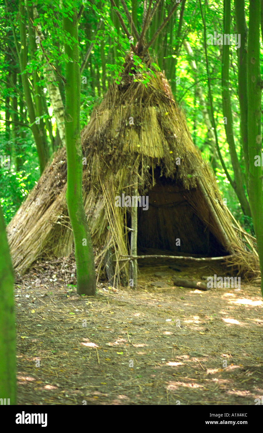 Example of Slavic tepee recreated on 2500 year old ancient settlement ...