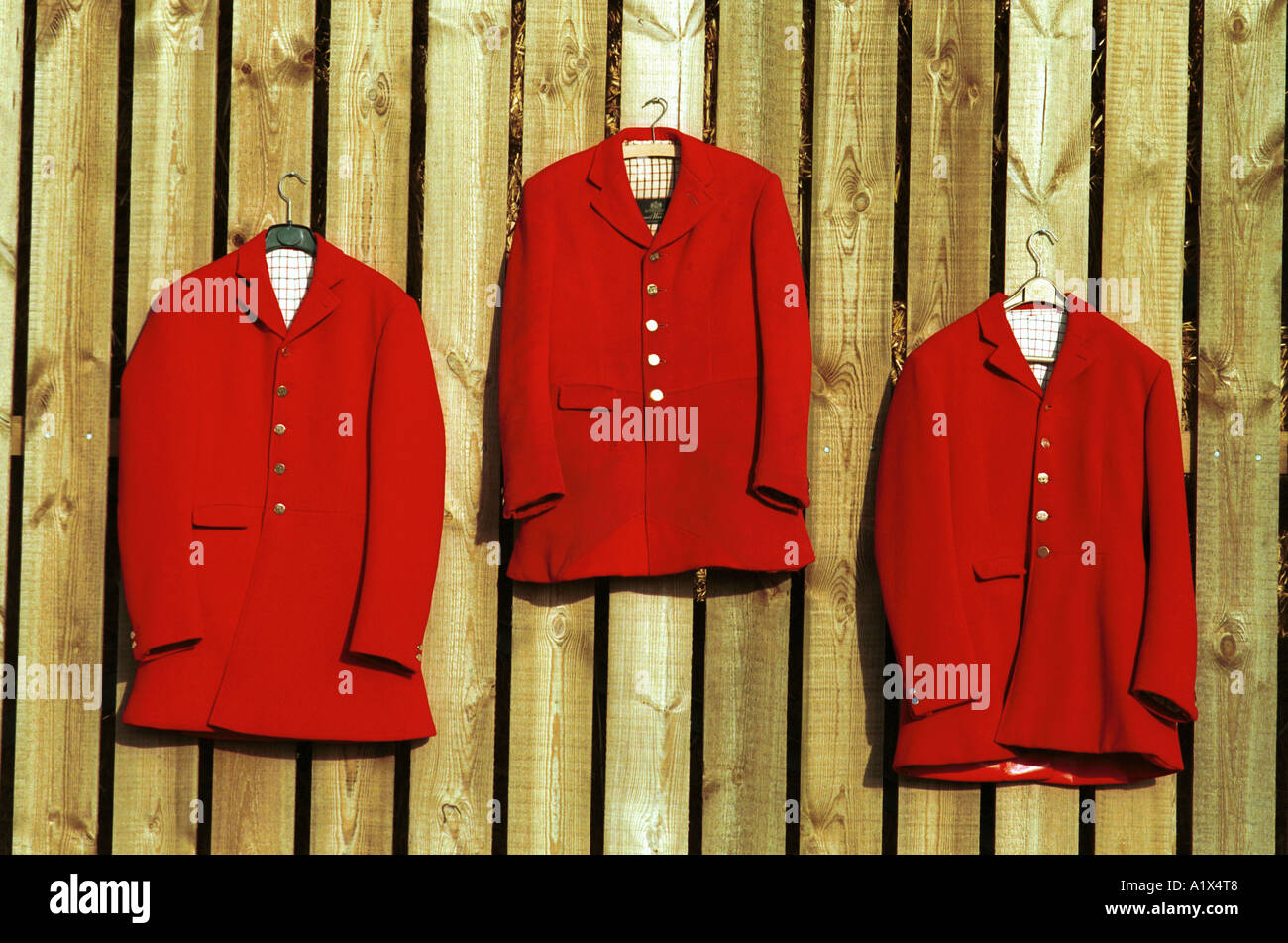 Hunting pinks of the Pytchley Hunt cleaned and drying in the sun after ...