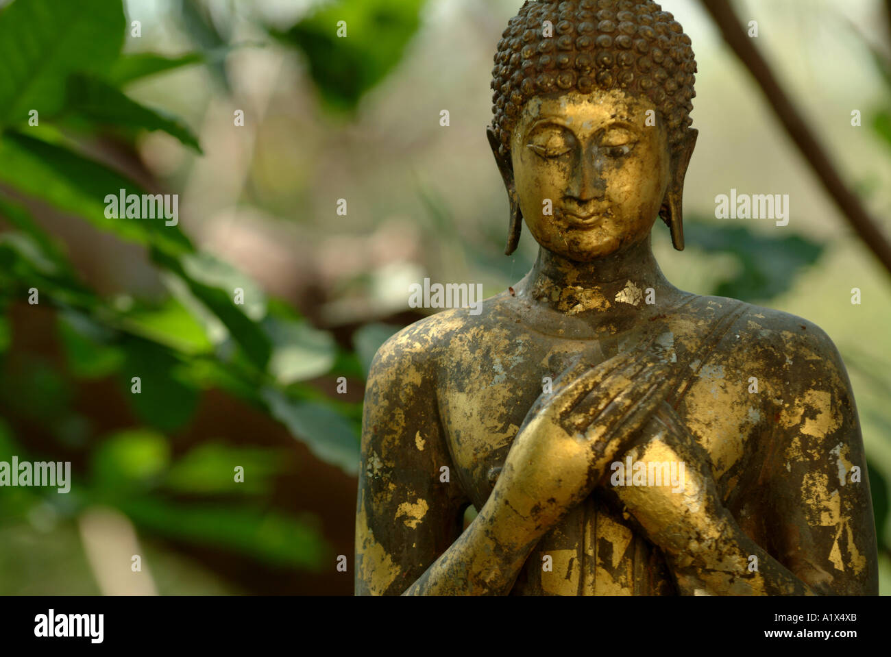 Statue in the grounds of Wat Saket Bangkok Thailand Also known as the Golden mount Stock Photo ...