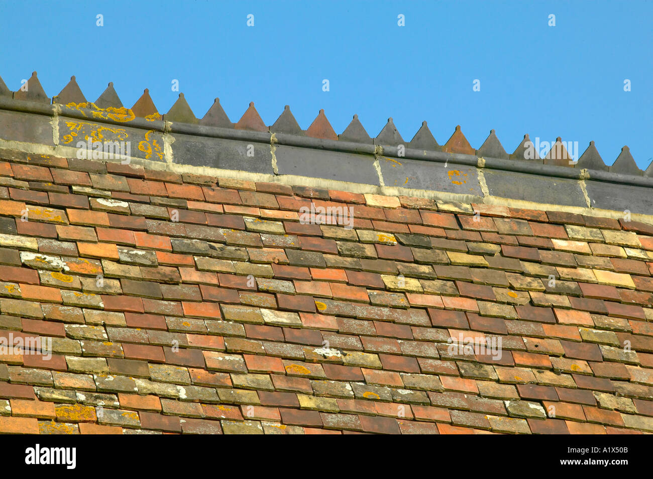 Victorian Roof Types at Gerald Thurmond blog