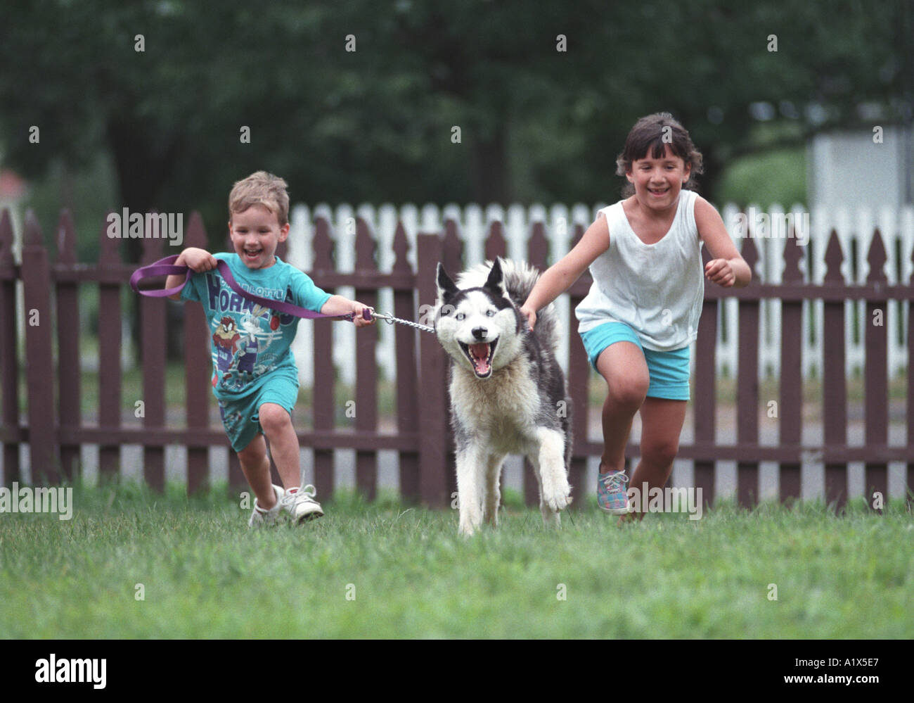 Children playing husky dog hi-res stock photography and images - Alamy