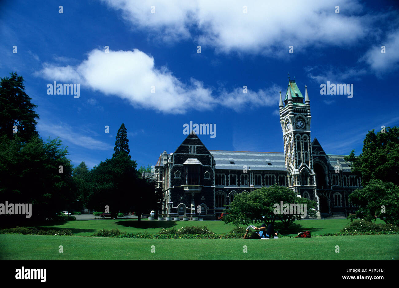 Dunedin the university building hi-res stock photography and images - Alamy