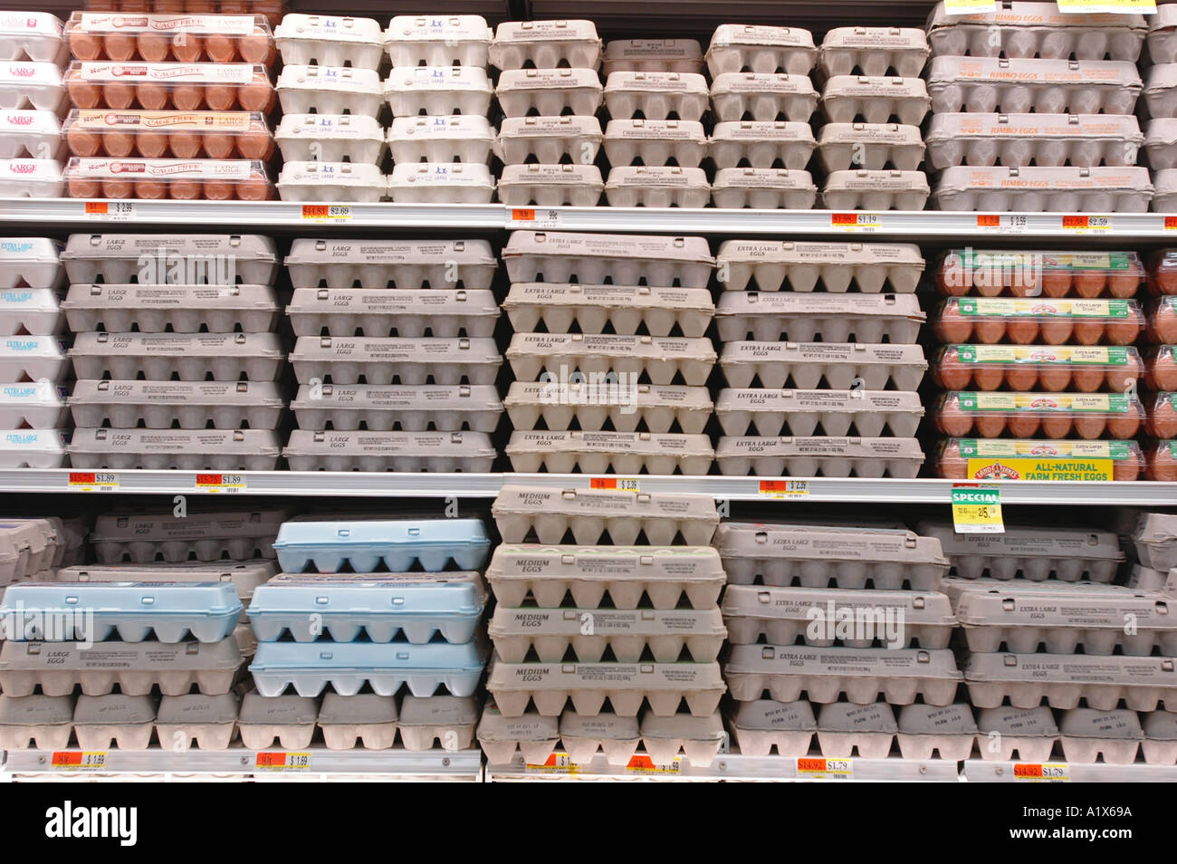 Eggs Rows of eggs in a supermarket store refrigerator section of the ...