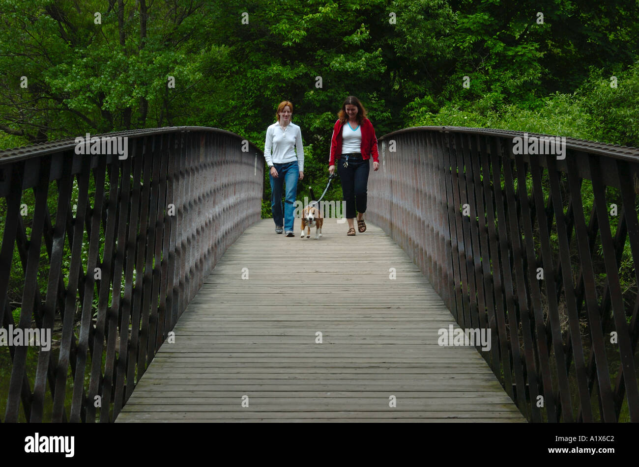 Dog foot bridge hi-res stock photography and images - Alamy