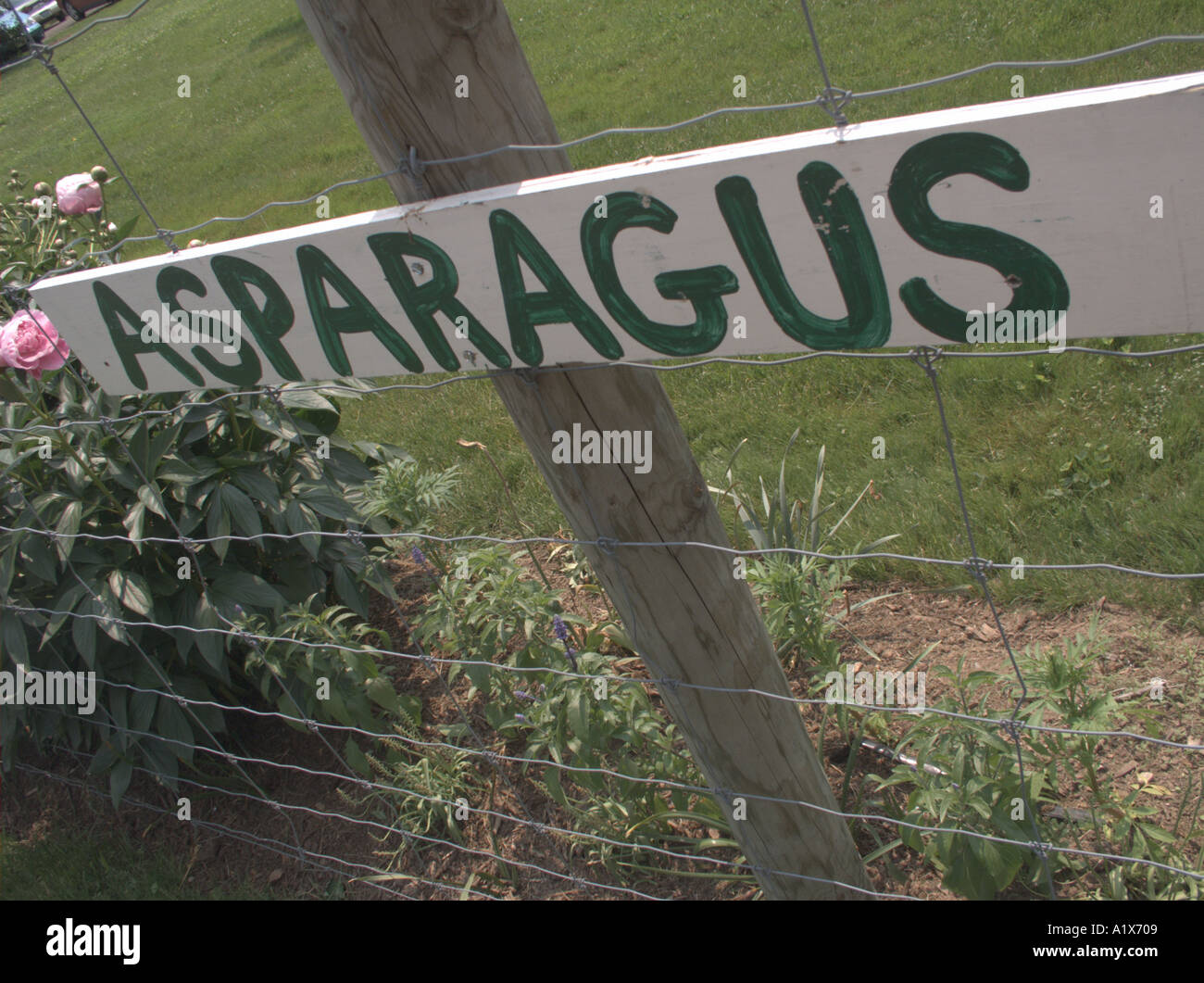 Terhune hi-res stock photography and images - Alamy