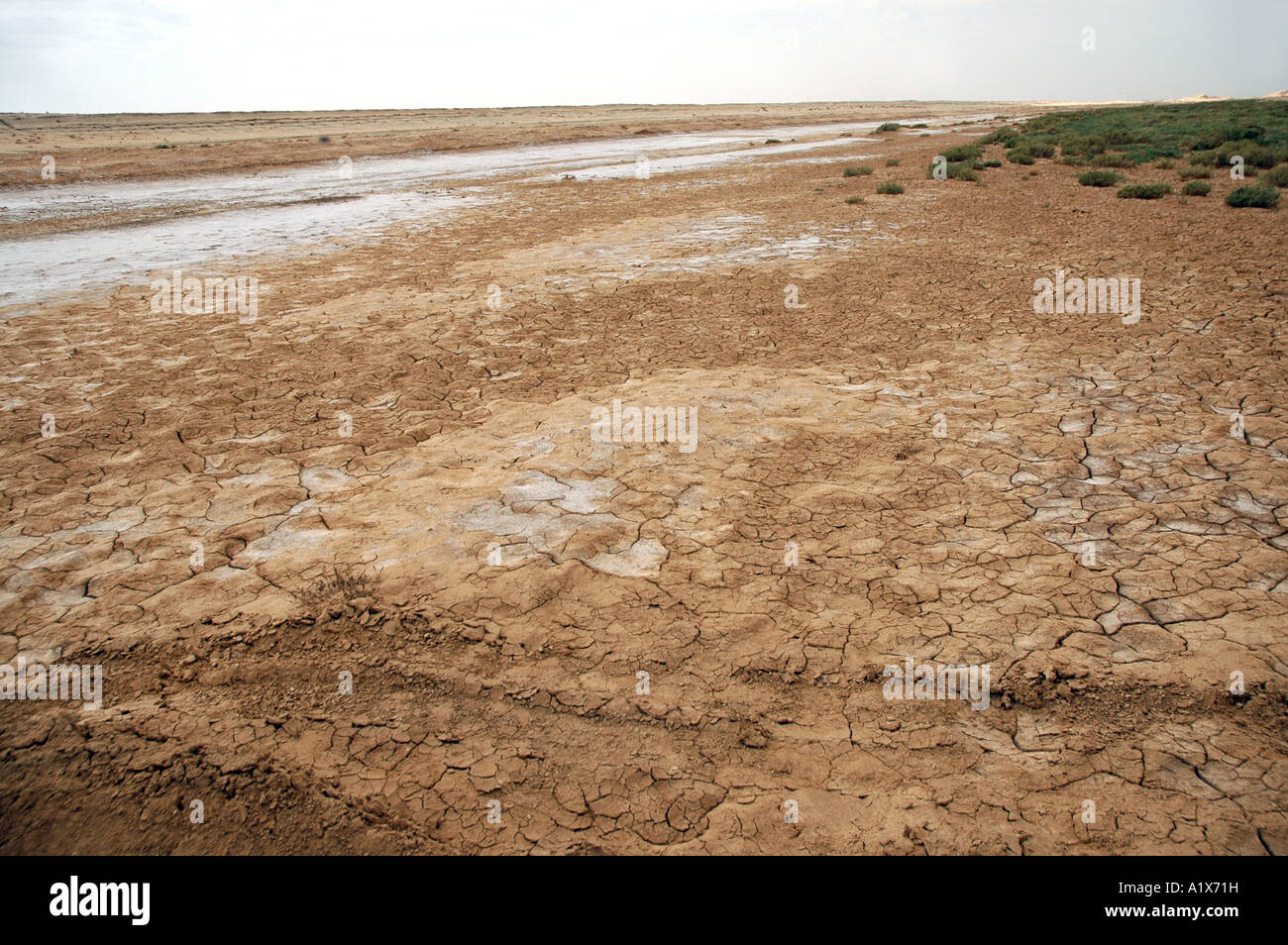 Very dried up ground on Sahara desert in Tunisia Stock Photo - Alamy
